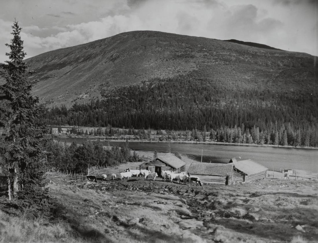 Hovde fäbodar i Bydalen – All Artworks – Moderna Museet