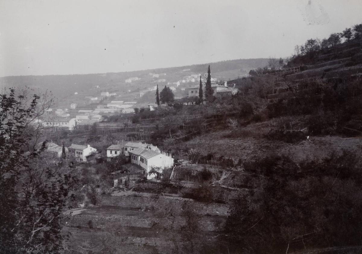 Trient – All Artworks – Moderna Museet