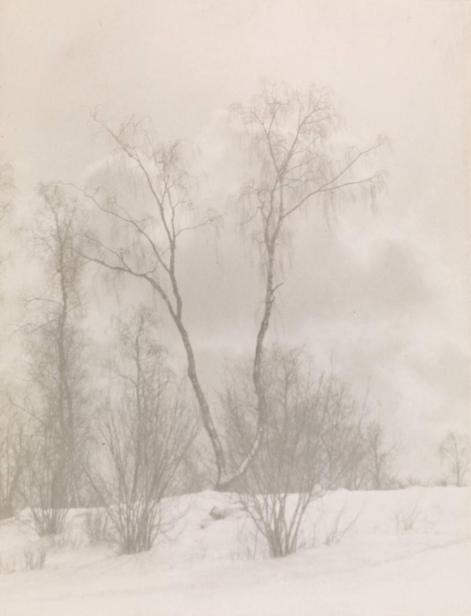 Paret – All Artworks – Moderna Museet