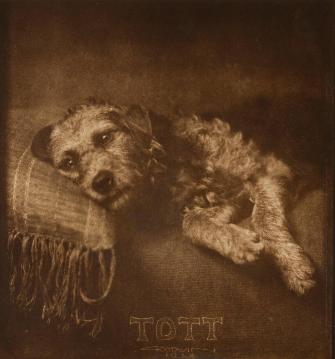 Tott – All Artworks – Moderna Museet