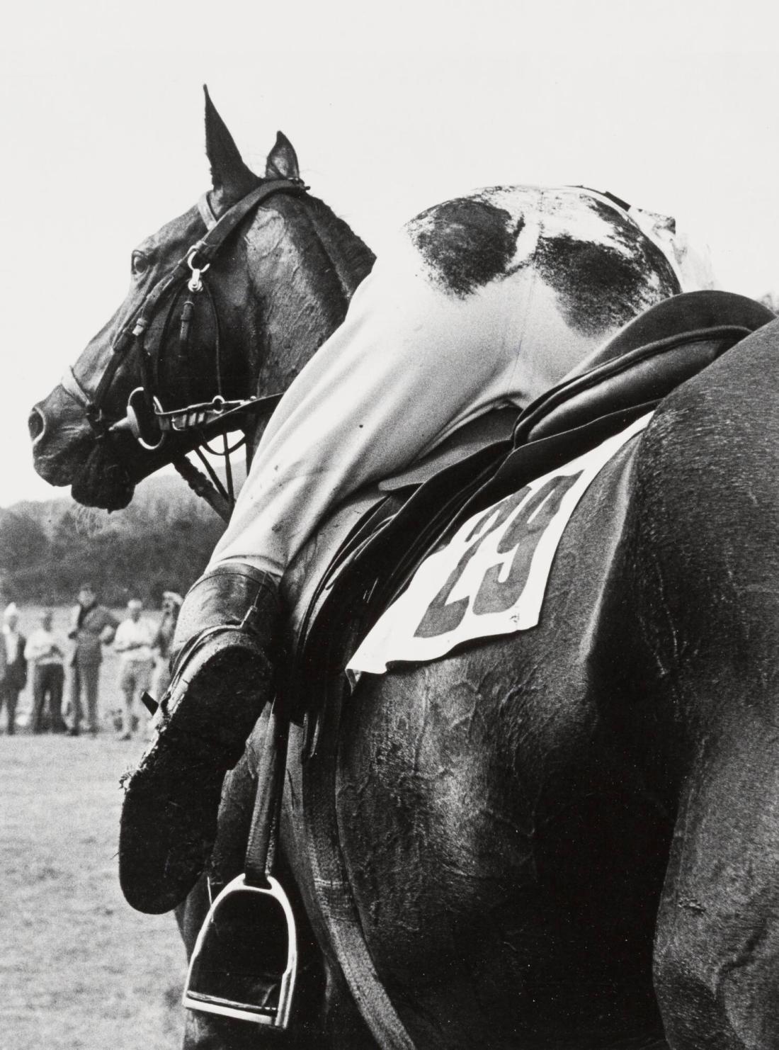 Medaljörens frånsida. Ryttartävlingar i Rom, Olympiaden 1960 – All ...