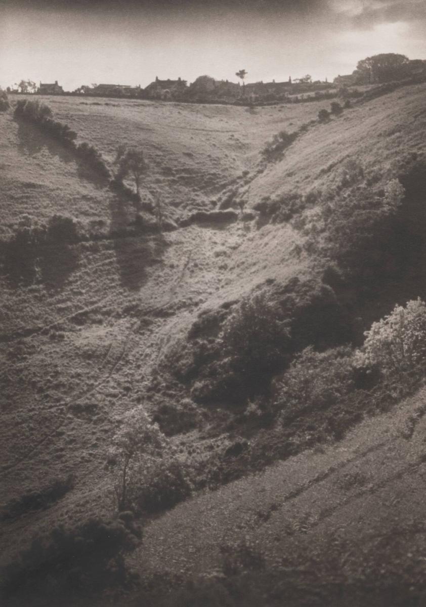 A South Devon Glape – All Artworks – Moderna Museet